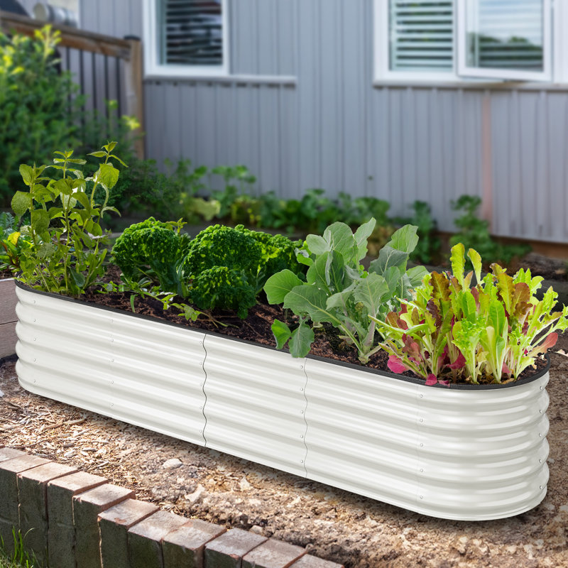 Raised garden wayfair store
